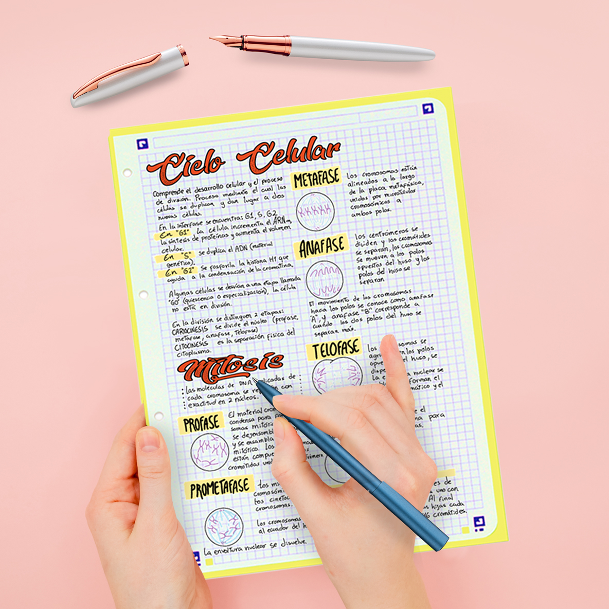 Flashcards Flash con recuadro de color Oxford