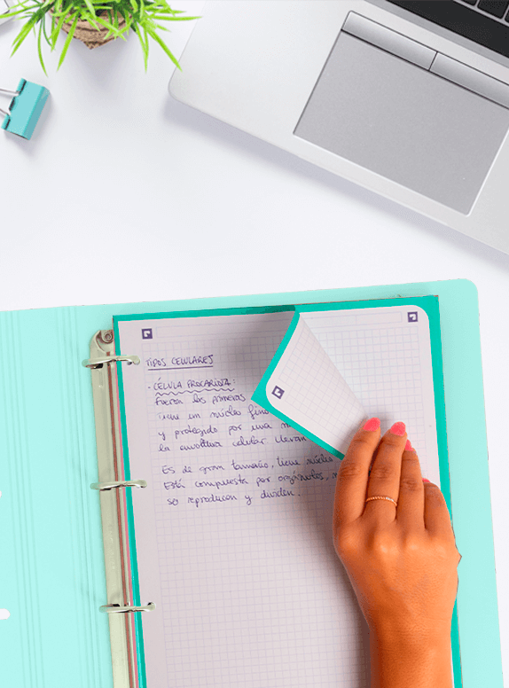 Ecosistema Europeanbinder - My Oxford