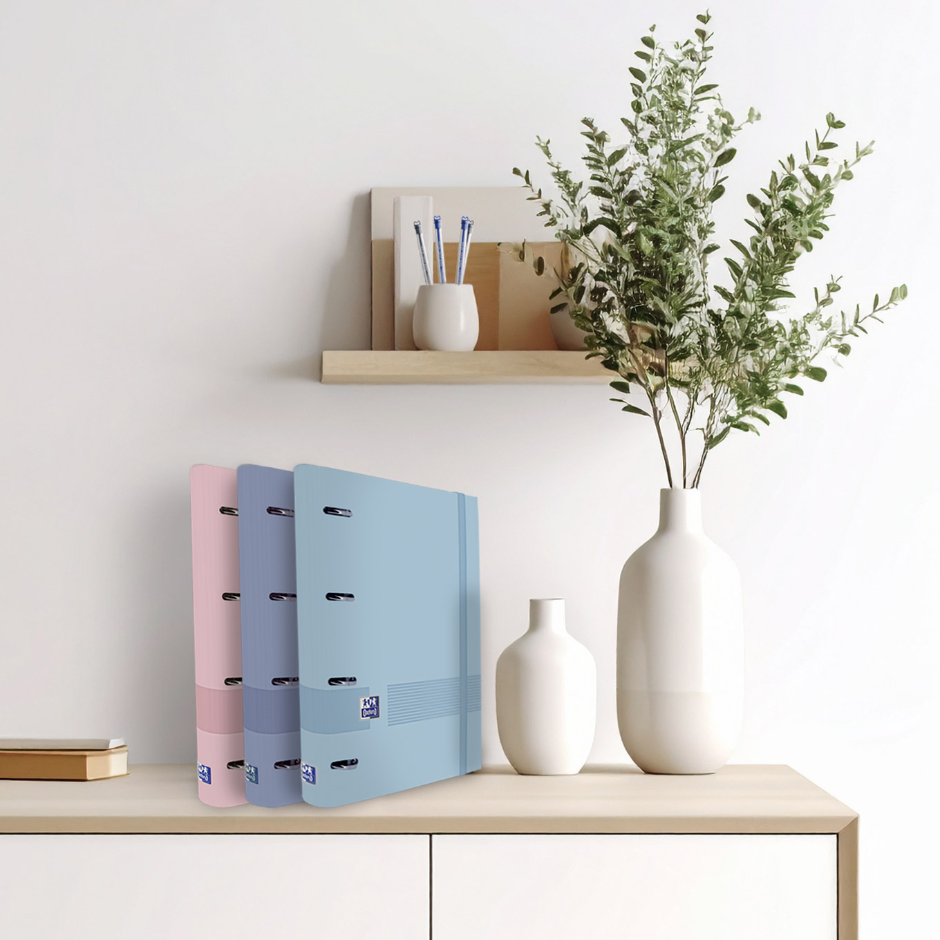 Ecosistema Europeanbinder - My Oxford